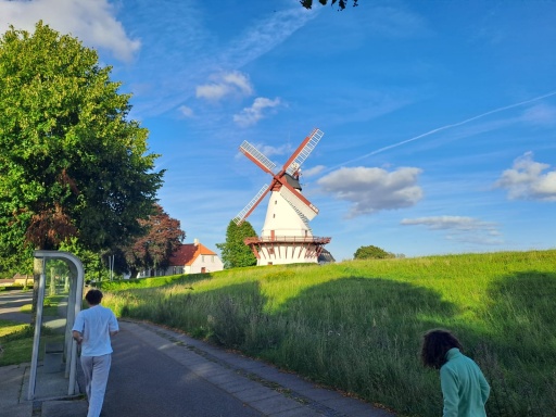 Clarky | CubeCraft Games